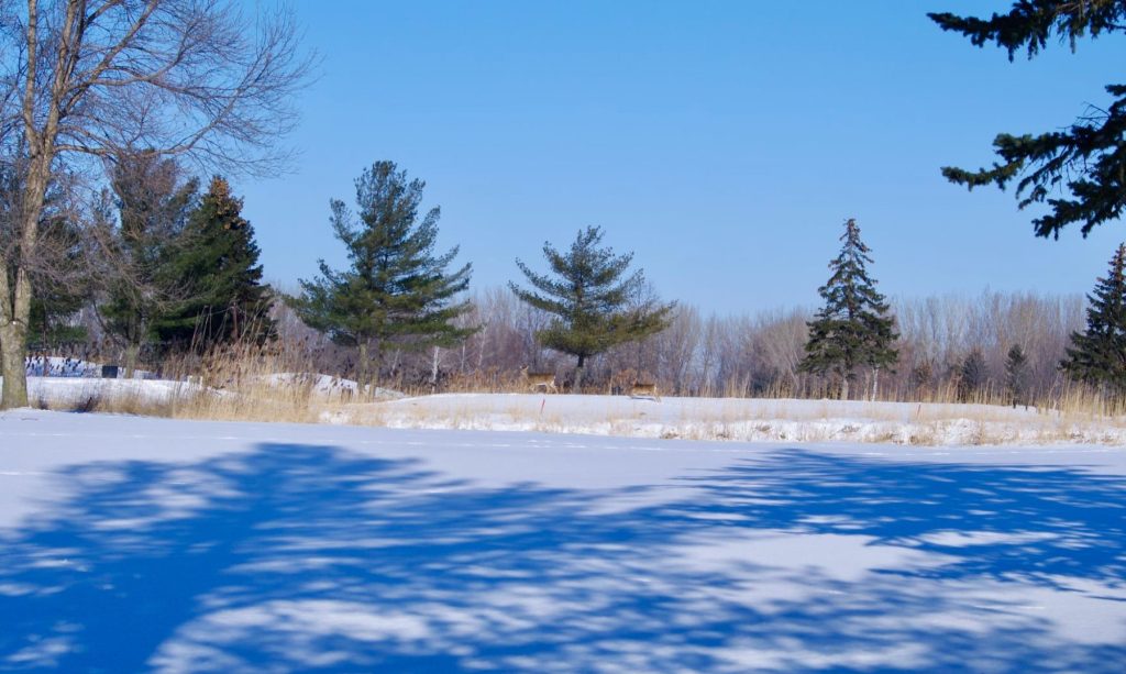 Bonne et Heureuse année 2025 ! – Association des Faucher et Foucher ...